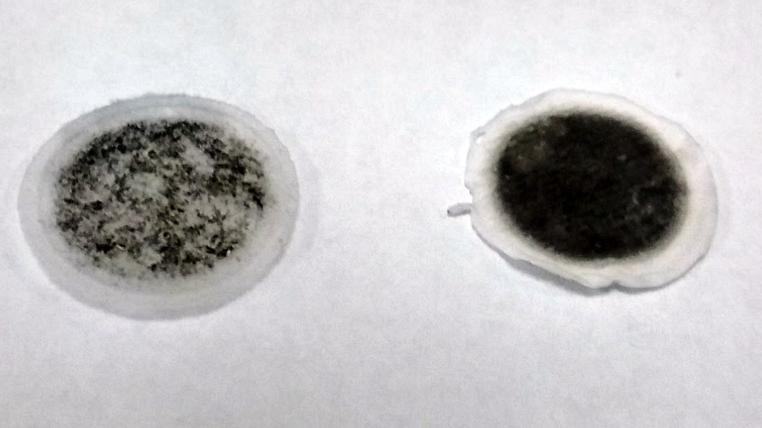Fire Debris: Soot and Char Contamination Testing: Understanding the ...