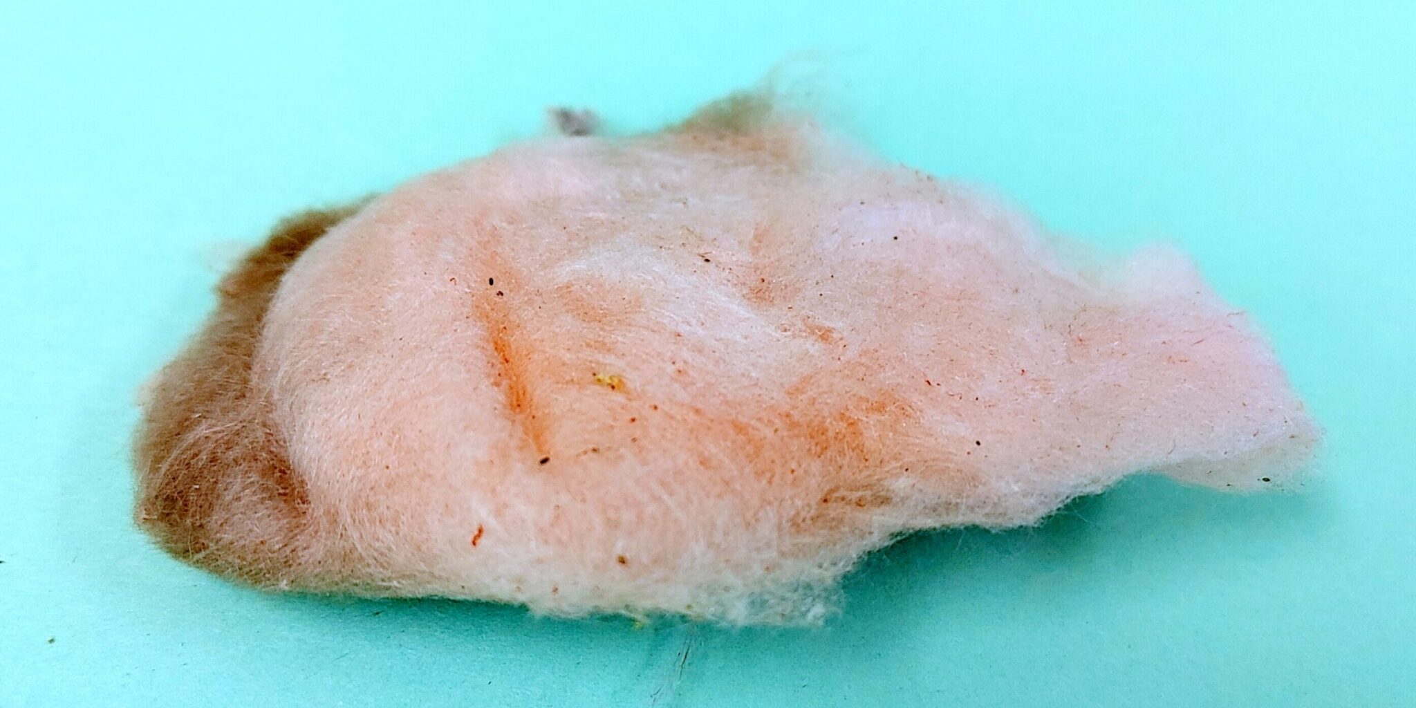 Laboratory Test: Glass Fibers on Surface Wipes by NIOSH 7400 with ...